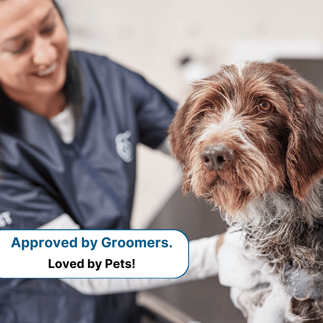 GroomPro™ - The #1 Pet Shedding Solution – Rhykin