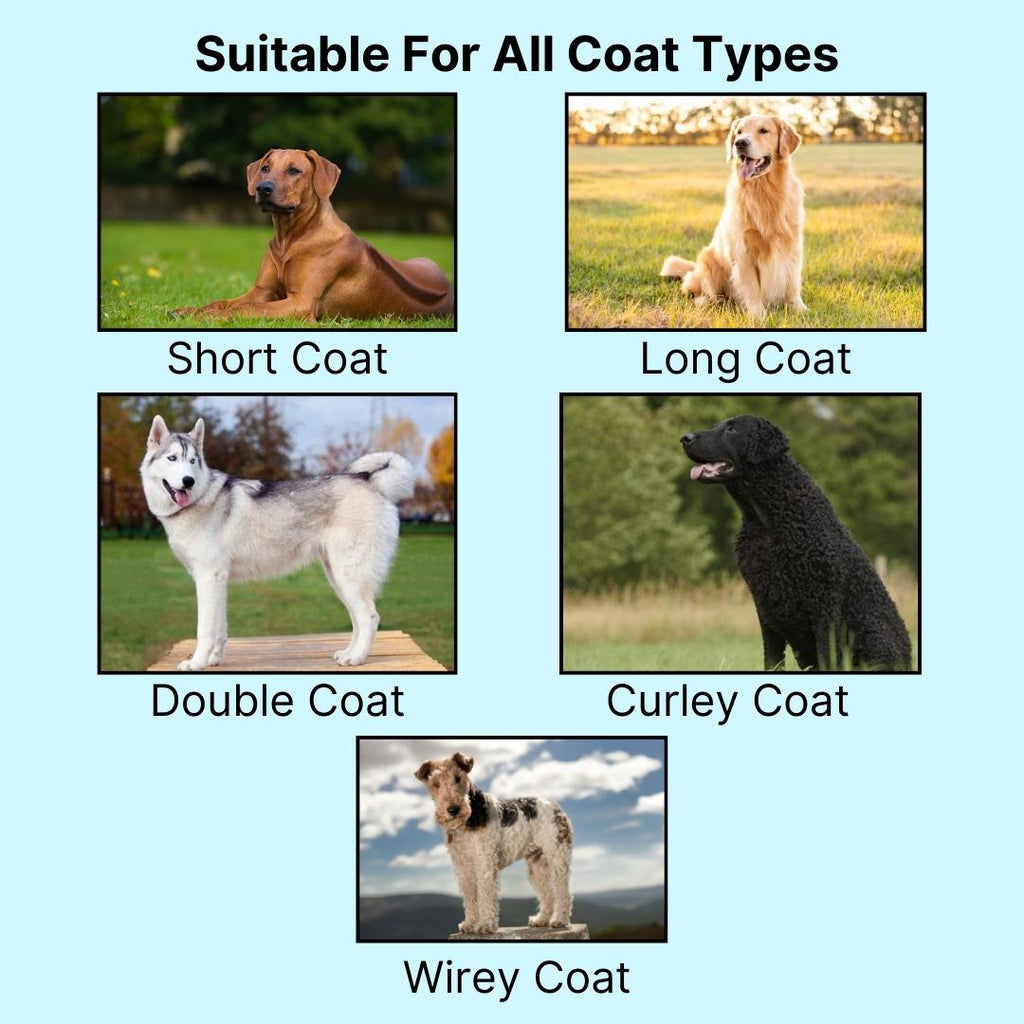 GroomPro™ - The #1 Pet Shedding Solution – Rhykin